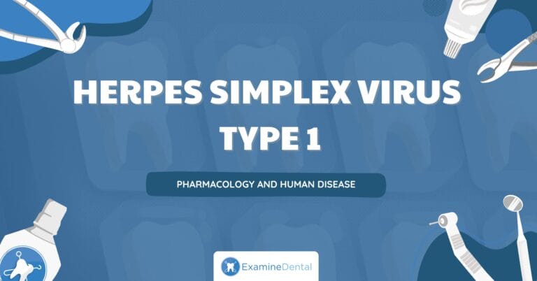 Herpes Simplex Virus Type 1 - ExamineDental